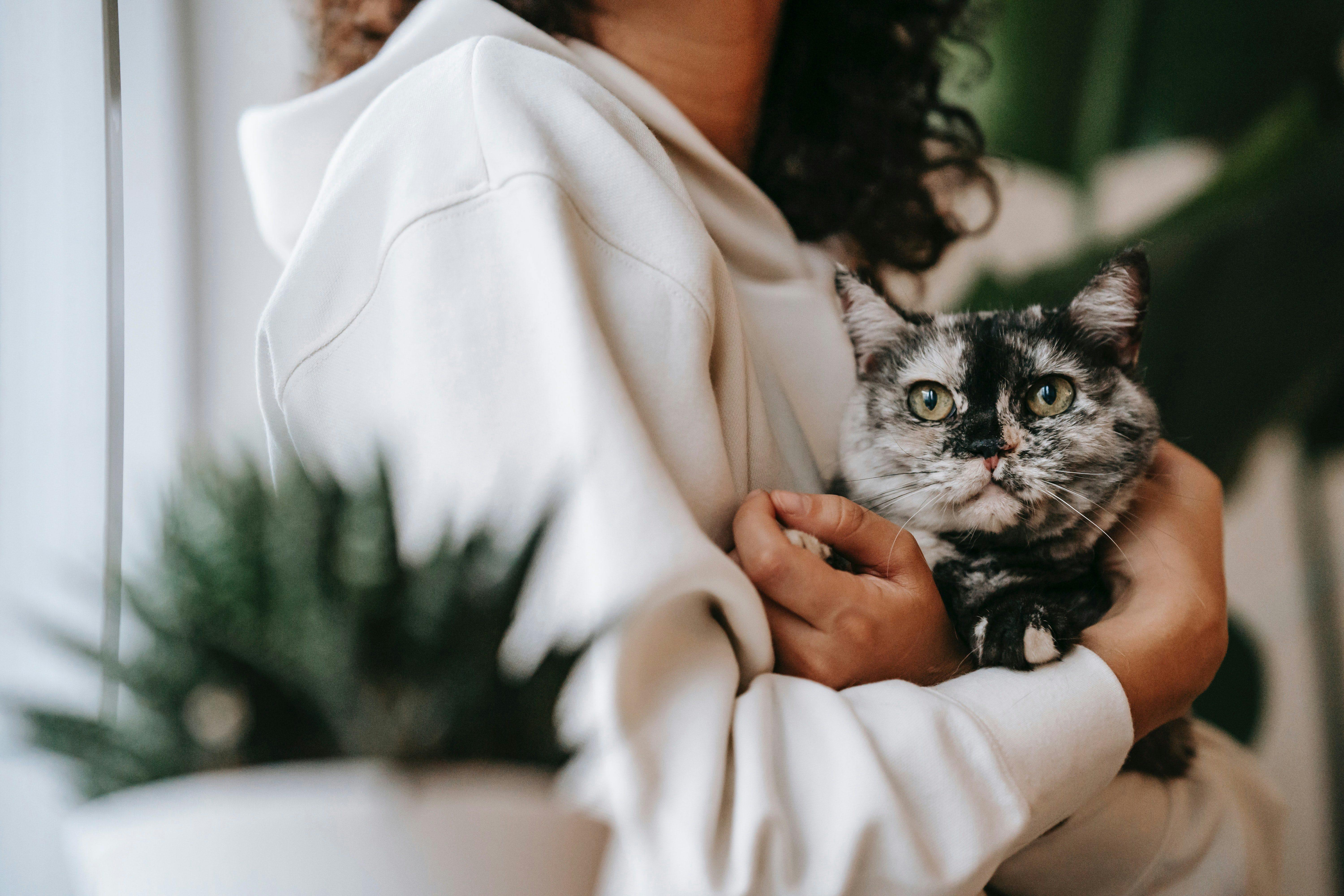 NB SPCA | Frequently Asked Questions