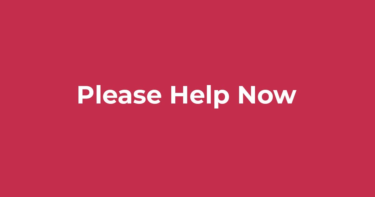 NB SPCA | Please Help Now