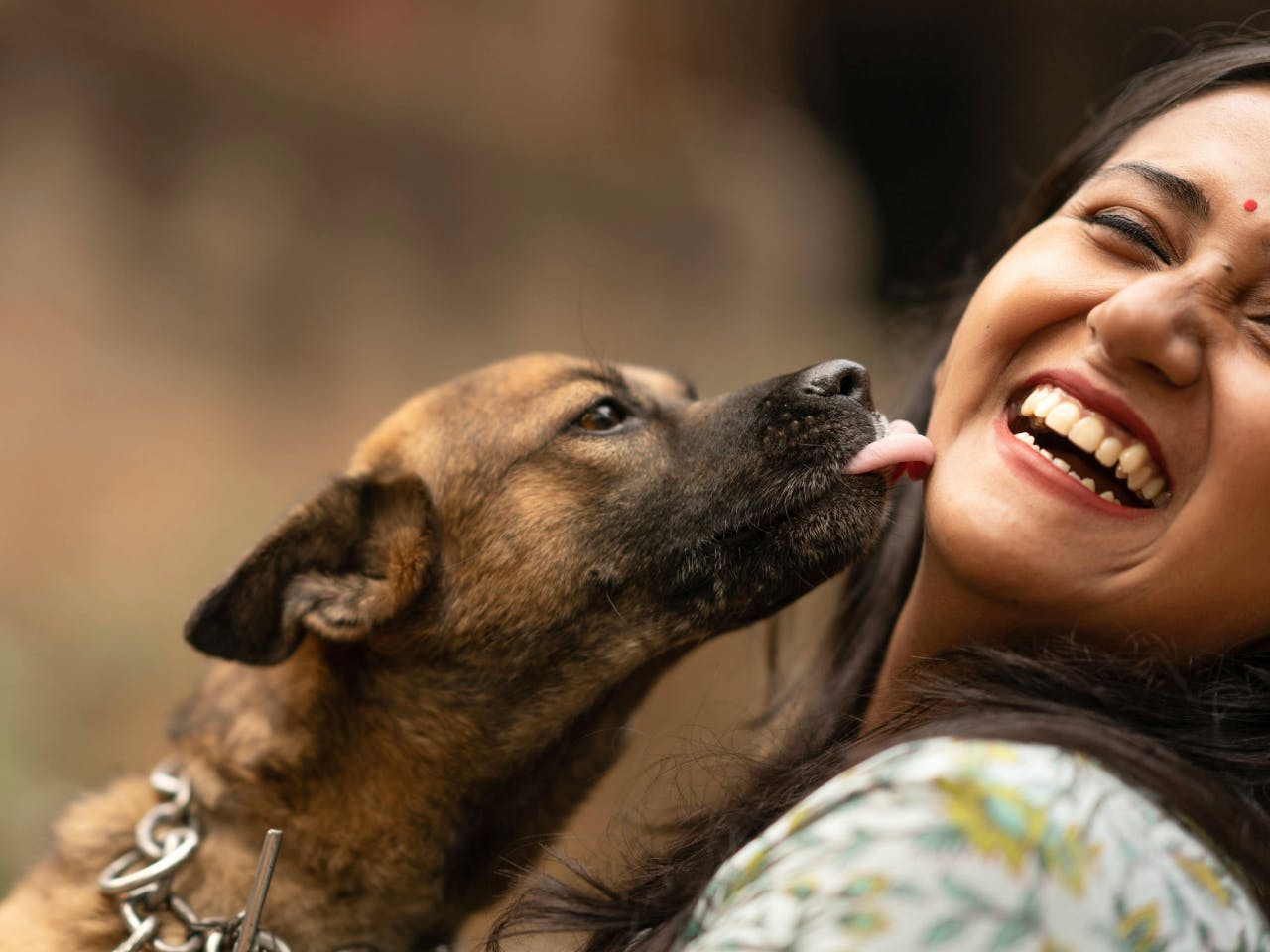 NB SPCA | NBSPCA Expands Happy Tails Program to Include Emergency Care